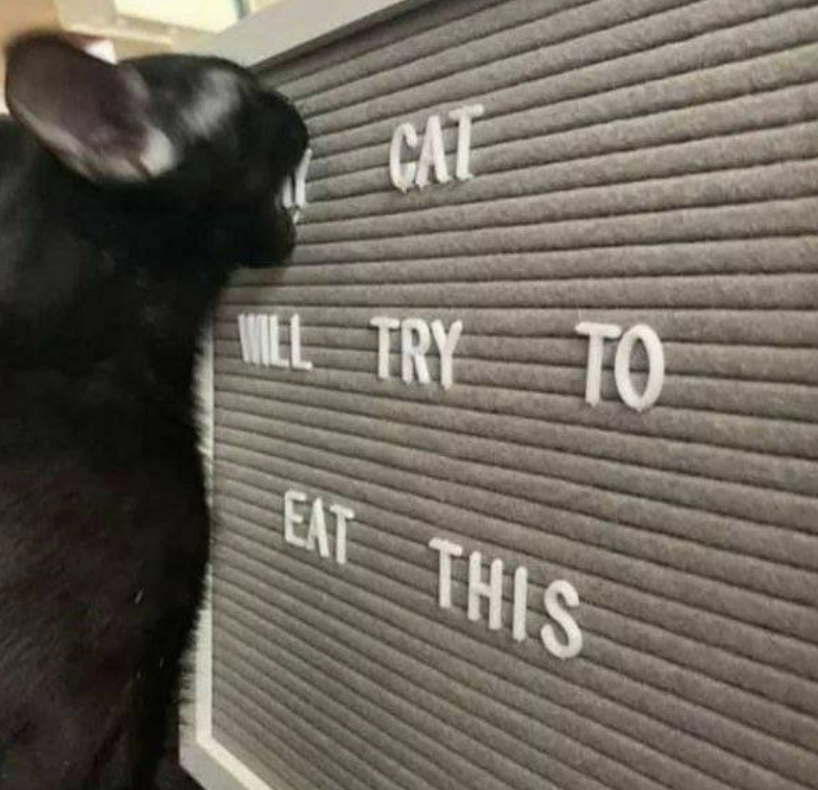 Friday Fun • Mystic Meg gets it right again! 😀